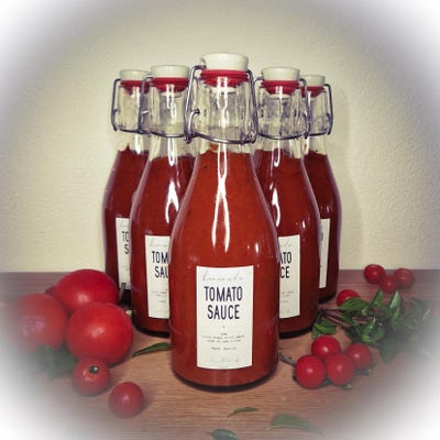 Choir or Band Concert Program Template, Printable Pamphlet, Editable ...