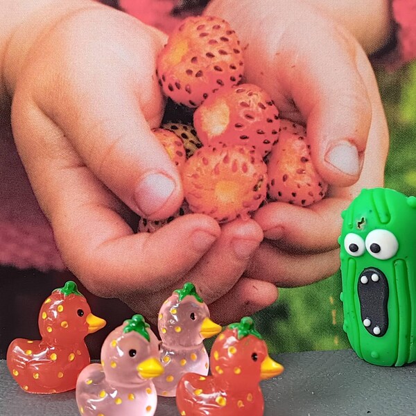 Mallard Ducks Mini Resin Ducks, Fairy Garden, Dollhouse, Trinkets, I ...