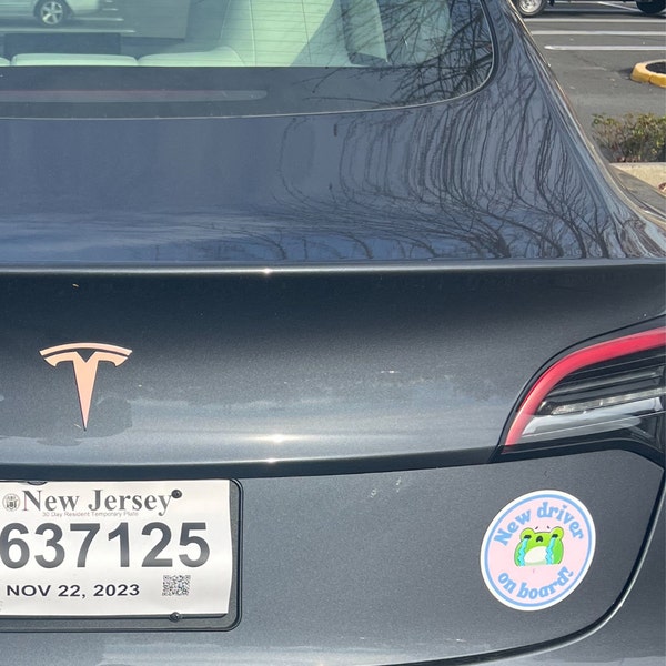 Student Driver Sticker, New Driver Bumper Sticker, Anxiety Bumper ...