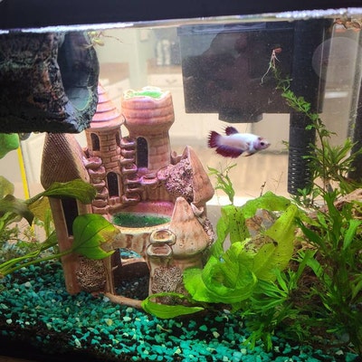 Fish Tank Accessories Fish Tank Ornaments Fish Tank Décor Aquarium ...