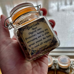 Nettle Herb & Jar | Etsy