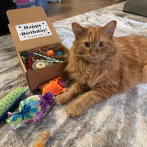 Cat Toy Box, Cat Gift Box, Catnip Toy, Cat Food Toy, Catnip Taco, Taco ...