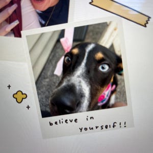 Be Yourself Cute Icon Set, Cute Icons, Ios and Android App Icons ...