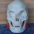 Human Skull Life Sized Male Adult replica Resin Printed High Quality ...