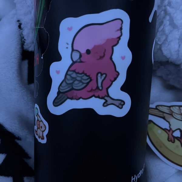 Dancing Birds Sticker Set Pack: Cockatiel, Budgie, Lovebird / Cute Bird ...