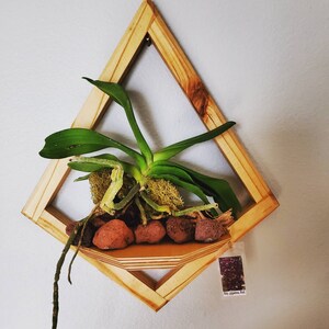 Wall Mount Diamond Planter With Saucer, Geometric Wall Planter ...