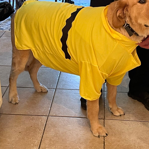 Red Baron Snoopy Dog Costume: the Peanuts Halloween Outfit - Etsy
