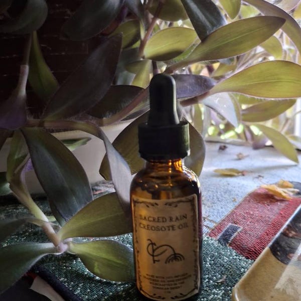 Witches Flying Ointment Salve Witches Flight Magical Spiritual Salve - Etsy