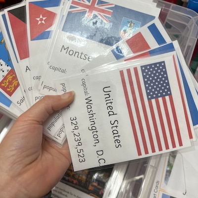 STAGES of HUMAN LIFE 22 Montessori Cards Flash Cards - Etsy