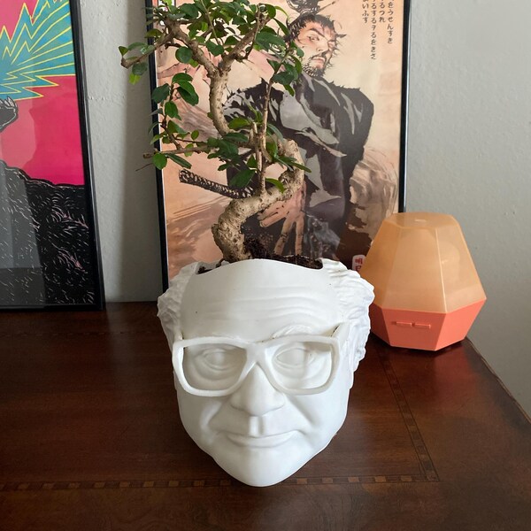 Horror Movie Planters for House Plants and Succulents - Etsy