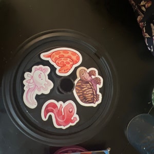 Boop a Snoot Ll Sticker Pack | Etsy