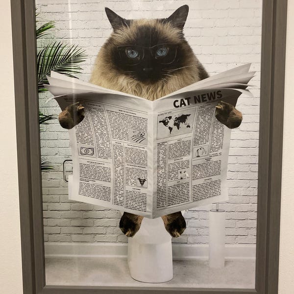 Custom Dog on Toilet Portrait, Personalised Pet Portrait Reading ...