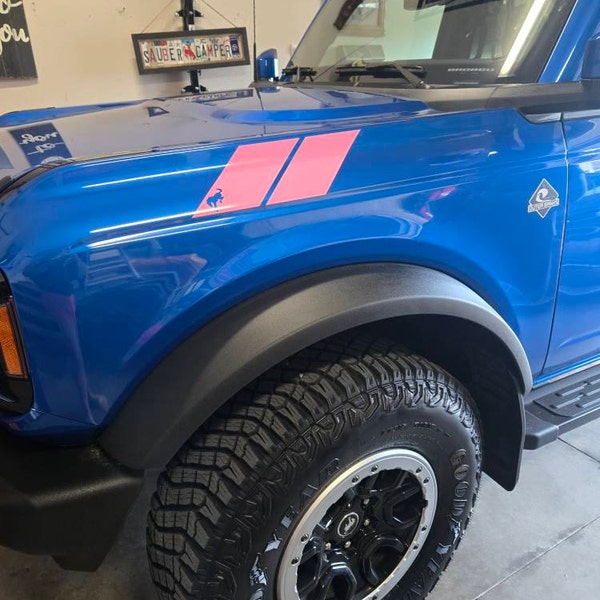 6" Cobra Decal - Etsy
