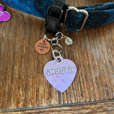 Personalized Star Moon Pet Tag, Smart Tags, Wish Bone Tag, Heart Pet ...