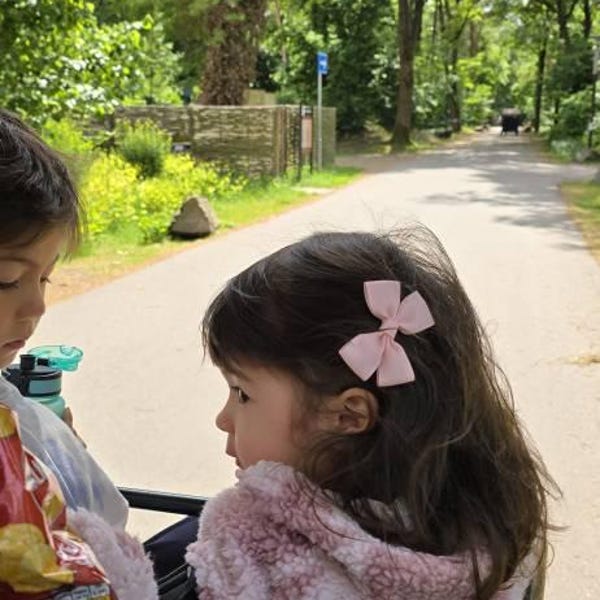 Pigtail Bows, Dusky Pink Hair Bows, Ribbon Bows, Girls Hair Accessories ...