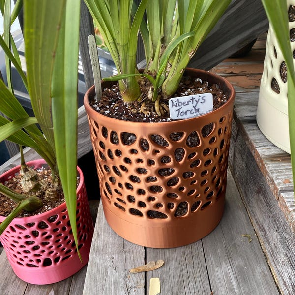 The Birch - Square Orchid Pot With Geometric Voronoi Pattern, Plant Pot ...