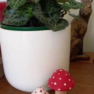 Set of 3 Mini Mushroom Toadstools Boys Unisex Girls Bedroom Decor ...