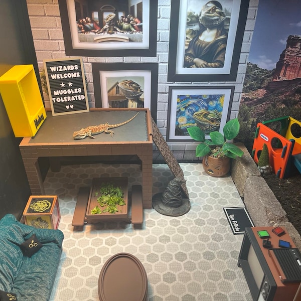 Bearded Dragon Castle Basking Spot | Side Entry Slate Topped Reptile ...