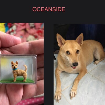 Miniature Dingo Puppy Tiny Crochet Dog Stuffed Animals - Etsy