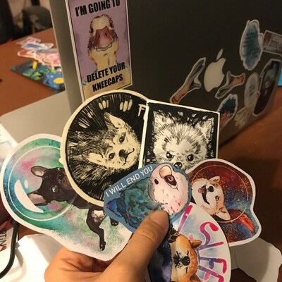 Honkai Star Rail Trash Trailblazer Stickers Stelle Caelus Racoon Tail ...