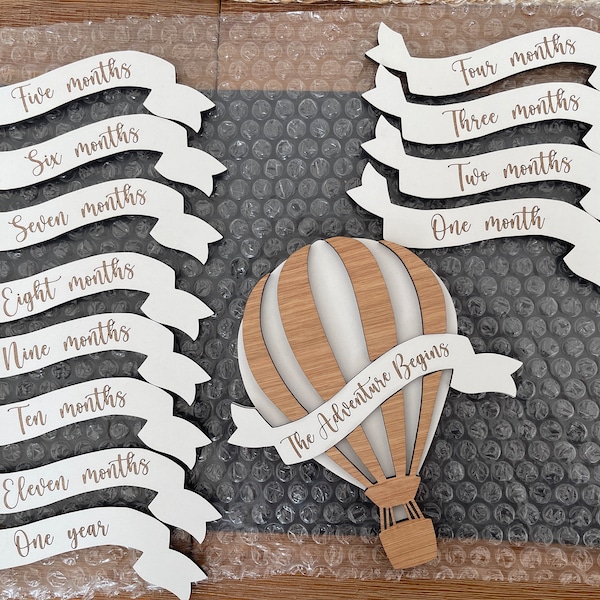 Hot Air Balloon Milestone Prop | Interchangeable Milestone Photo Prop ...