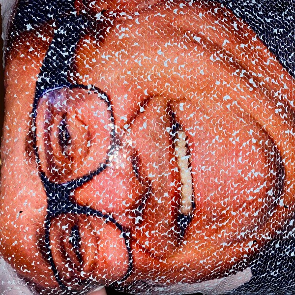 MICHAEL SCOTT - the Office "prison Mike" Fan Sequin Pillowcase - Etsy