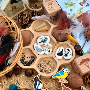 Nursery Rhyme Stones What Shall We Sing Educational Fun Song Stones ...