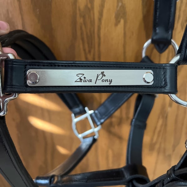 Custom Horse Halter Name Plate Brass Halter Name Tag Custom Equestrian ...
