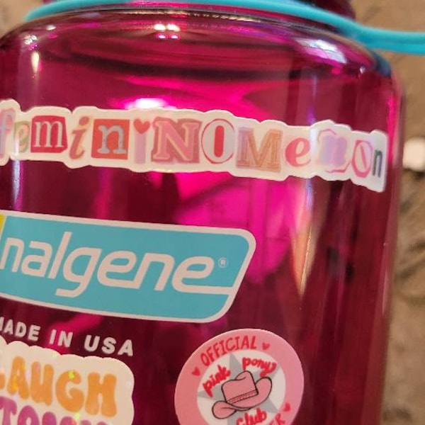 Femininomenon Chappell Roan - Waterproof and Holographic Stickers - Etsy