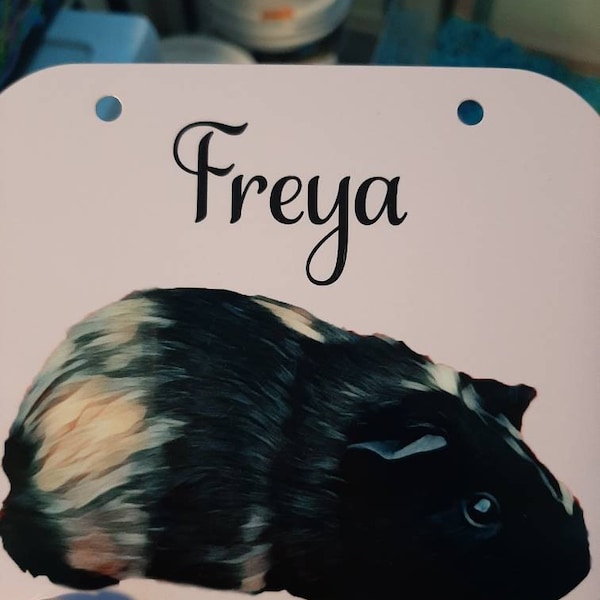 Guinea Pig Name Tag, Guinea Pig Accessories, Pet Tag, Guinea Pig ...