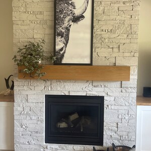 Custom Bison Print Set of 3, Western Prints, Bison Print, Buffalo Wall ...