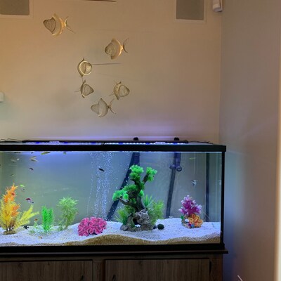 Gold Fish Kinetic Mobile 4 or 6 Piece, Brass Fish Decor, Modern Mobile ...