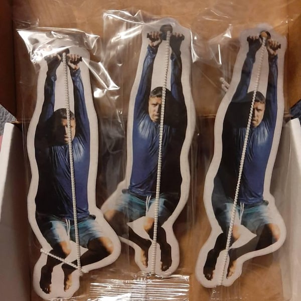 Tim Robinson on a Zipline Meme Car Air Freshener - Etsy