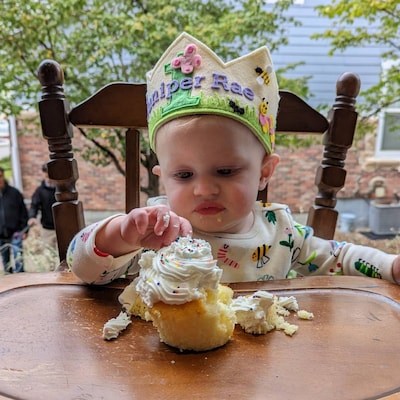 Birthday Felt Crown Bugs Insects Bug Party Personalized - Etsy