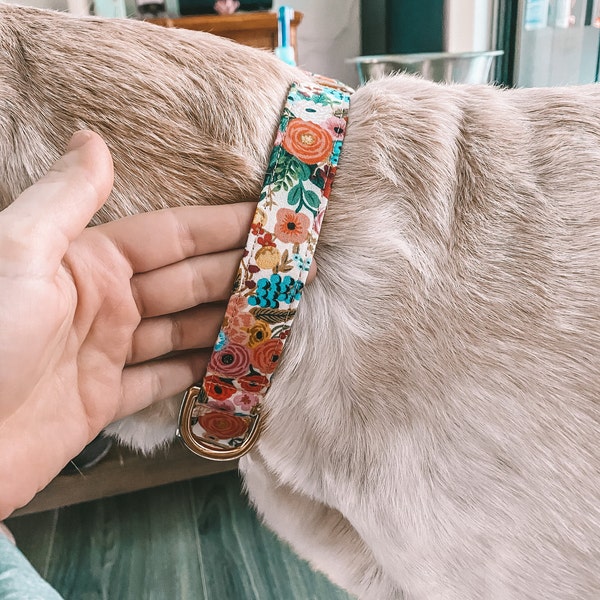 Rifle Paper Company Floral Dog Collar With Metal Buckle for Male or ...