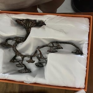 Chanukah Menorah Bonsai Tree Unique Hanukkah Menorah Modern Rustic Look ...