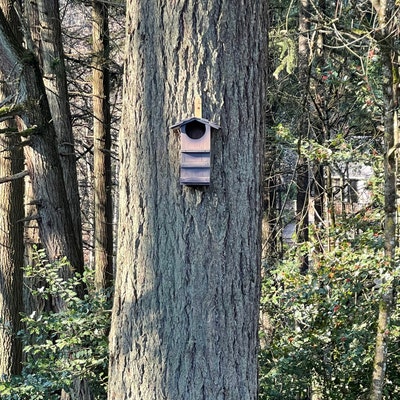 Owl Nesting Houses For: Horned Owl, Burrowing Owl, Screech Owl, Barred ...