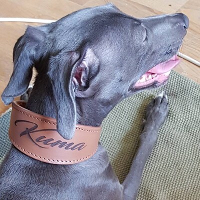 Tan Personalised Leather Dog Collar Whippet, Greyhound Collar ...