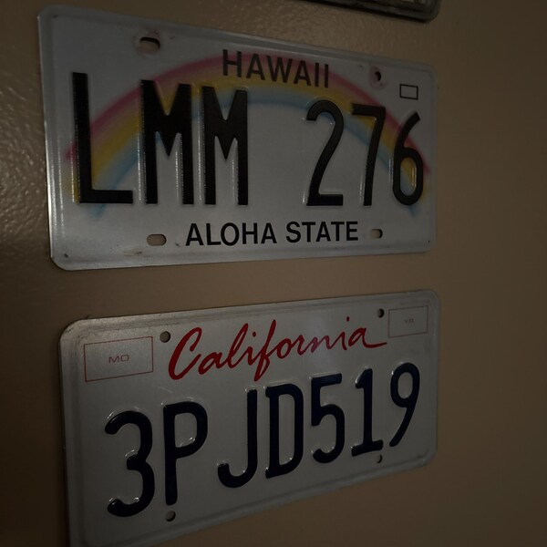 Embossed Worn & Faded License Plate Letters and Numbers to Build Your ...