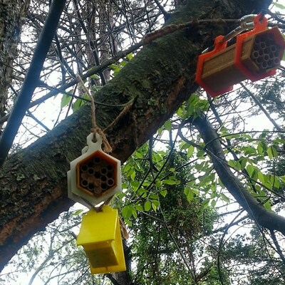 19 Tube Mason Bee House the Cannon Nontoxic Material - Etsy