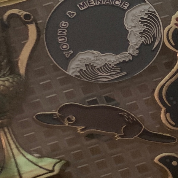 Platypus Enamel Pin - Etsy