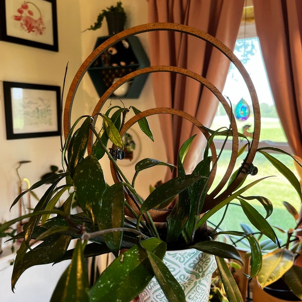Triple Hoop Houseplant Trellis (2 Sizes) | Wooden Round, Endless Circle ...