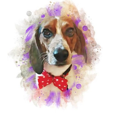 Pet Signature Cocktail Sign, Dog Signature Drink, Sign Minimalist ...