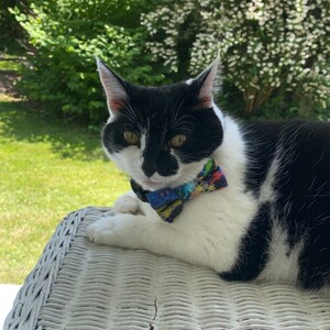 Pico De Gato 1oz Resealable Package of Super Potent Catnip 16100 - Etsy