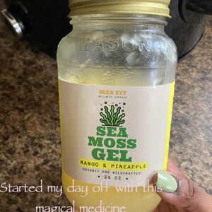 Organic Pure Sea Moss Gel Wildcrafted Irish Seaweed Moss - Etsy