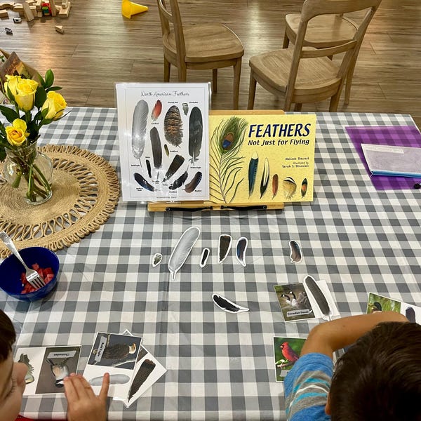 3D Paper Model INDIA Asia TAJ MAHAL Landmark Diorama *realistic* W ...