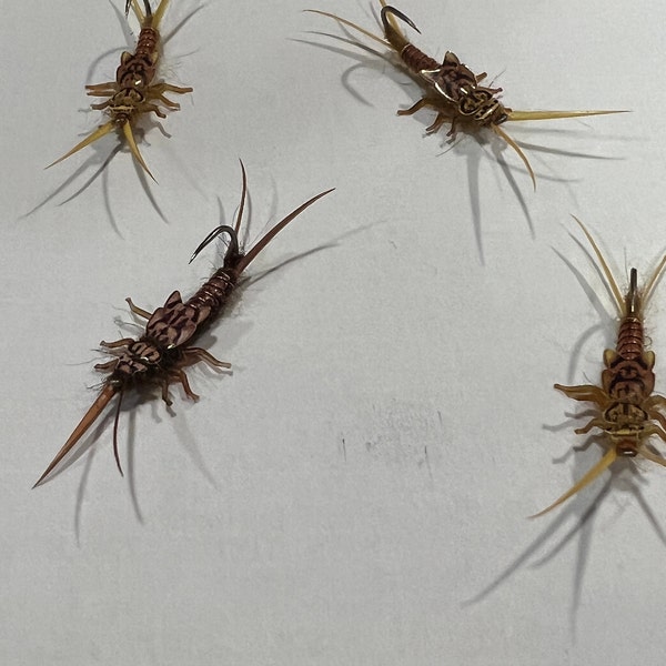 Realistic Style Stonefly Nymphs - Etsy