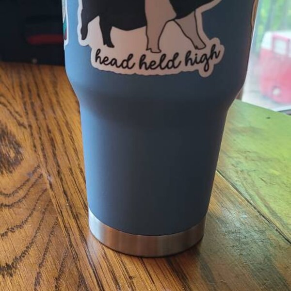 O-fish-olly Graduating! Graduation Trout, Grad, Fish With Hat and ...