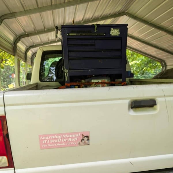 Michael Jackson Thriller Halloween Bumper Sticker | Dancing Raccoon ...