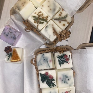 Fraser Fir Wax Melts With Green and Red Berry botanical Wax Tart 100% ...